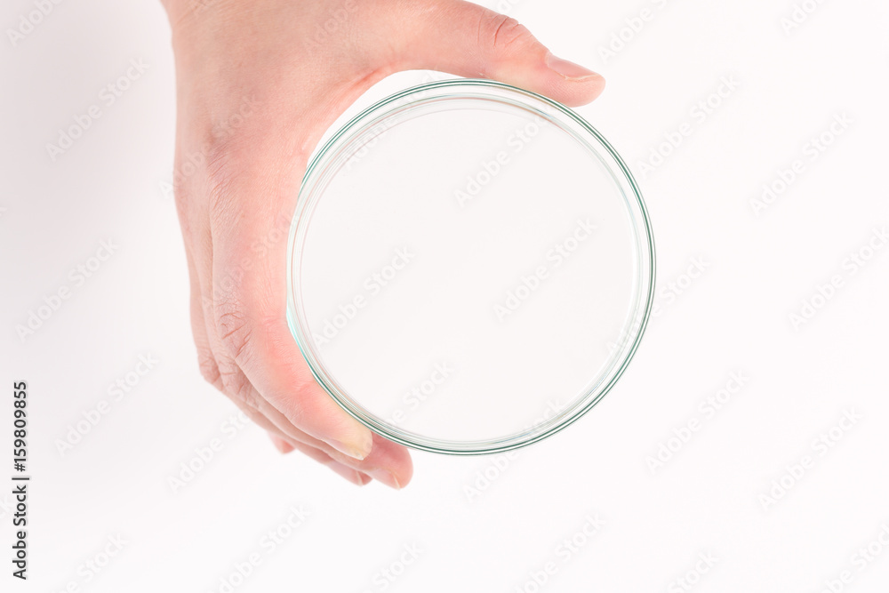 Empty petri dish for growing cultures of microorganisms in doctor hand ...