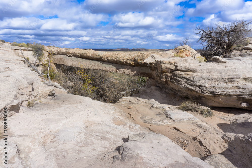 The Agate Bridge in the Petrified Forest National Park, AZ. A ...