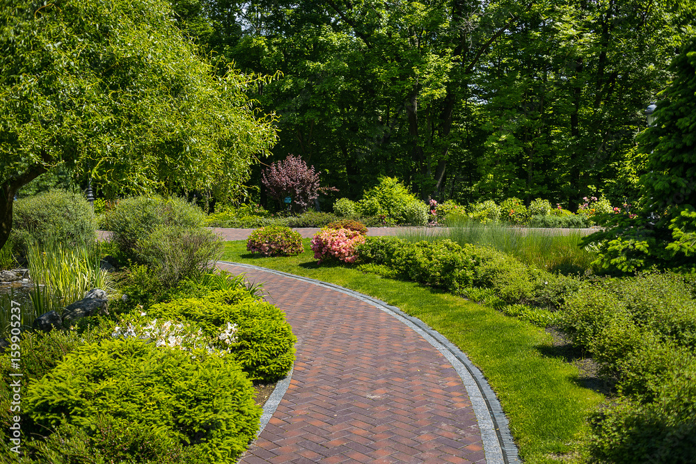Landscaping in the garden. The path in the garden.Beautiful backyard ...
