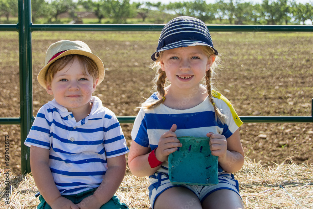 adorable brother and sister siblings on hayride together at farm Stock ...
