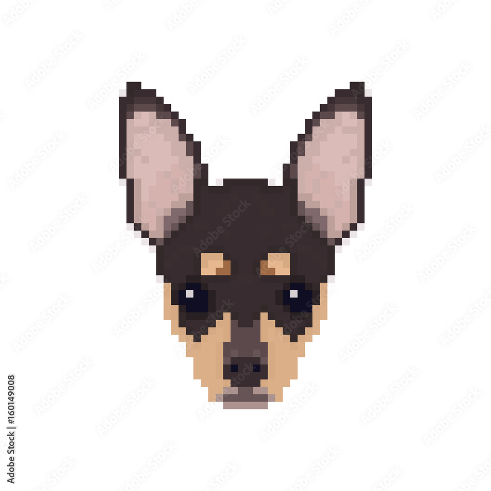 Chihuahua head in pixel art style. Dog vector illustration. Stock ...