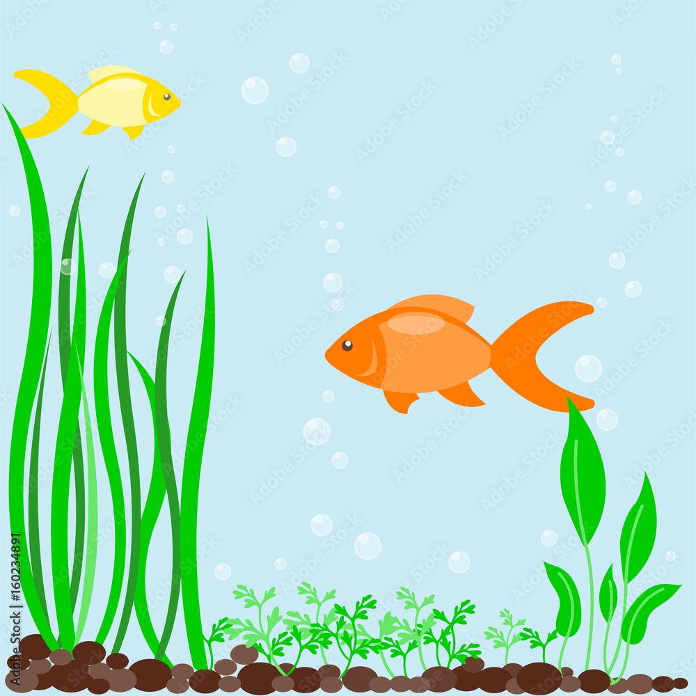 Transparent aquarium sea aquatic background vector illustration habitat ...