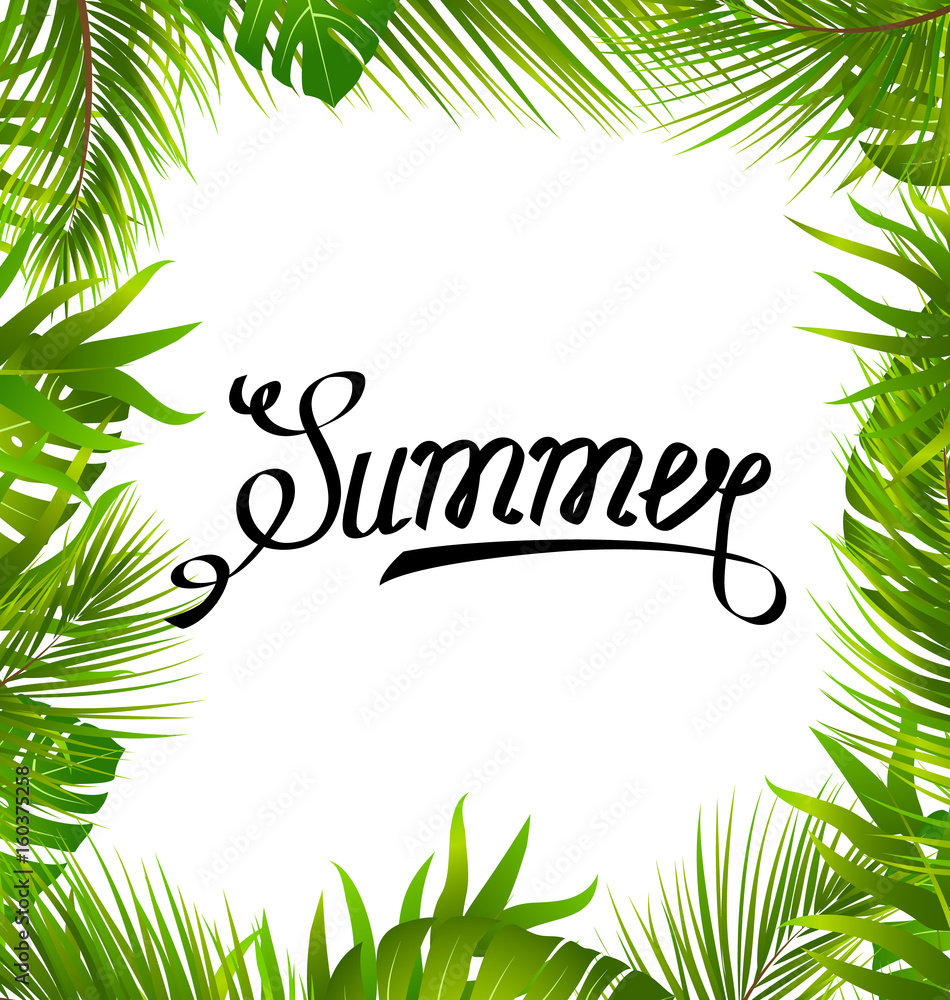 Lettering Text Summer with Border made in Palm Leaves vector de Stock ...