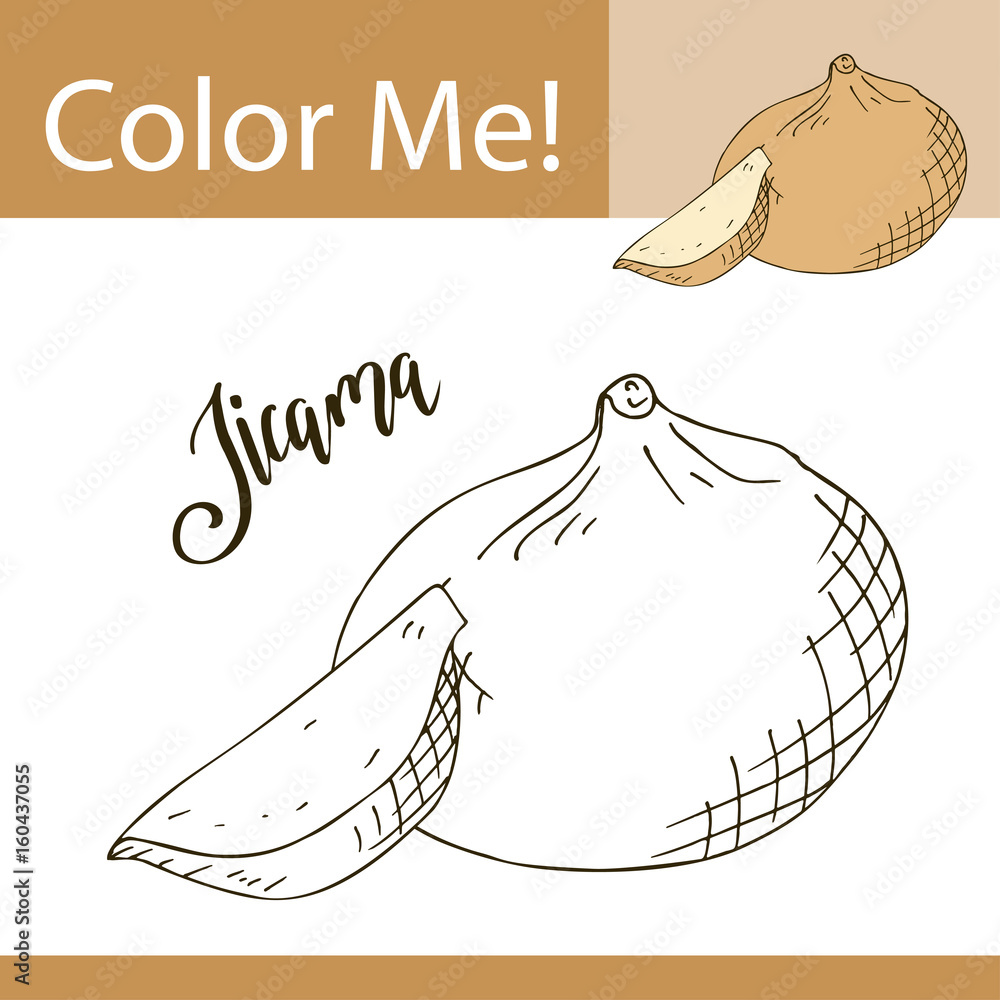 Education coloring page with vegetable. Hand drawn vector illustration ...