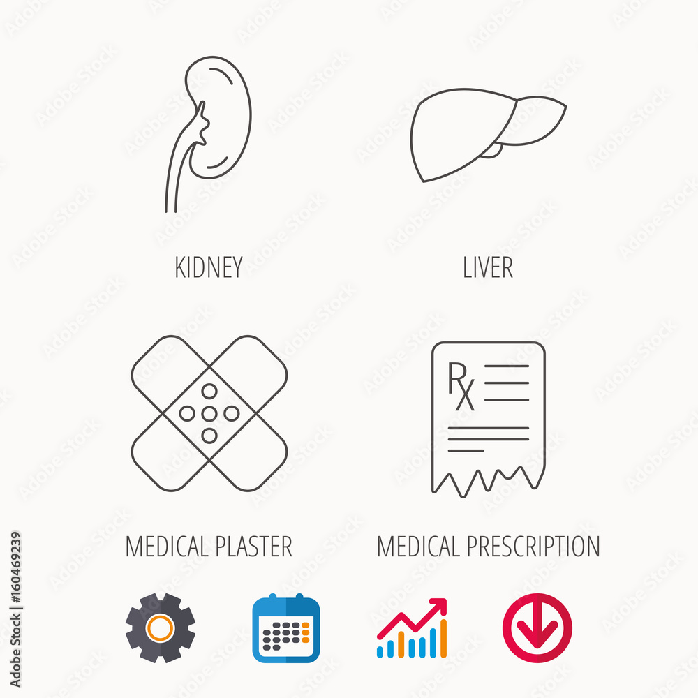 Liver, medical plaster and prescription icons. Kidney linear sign ...