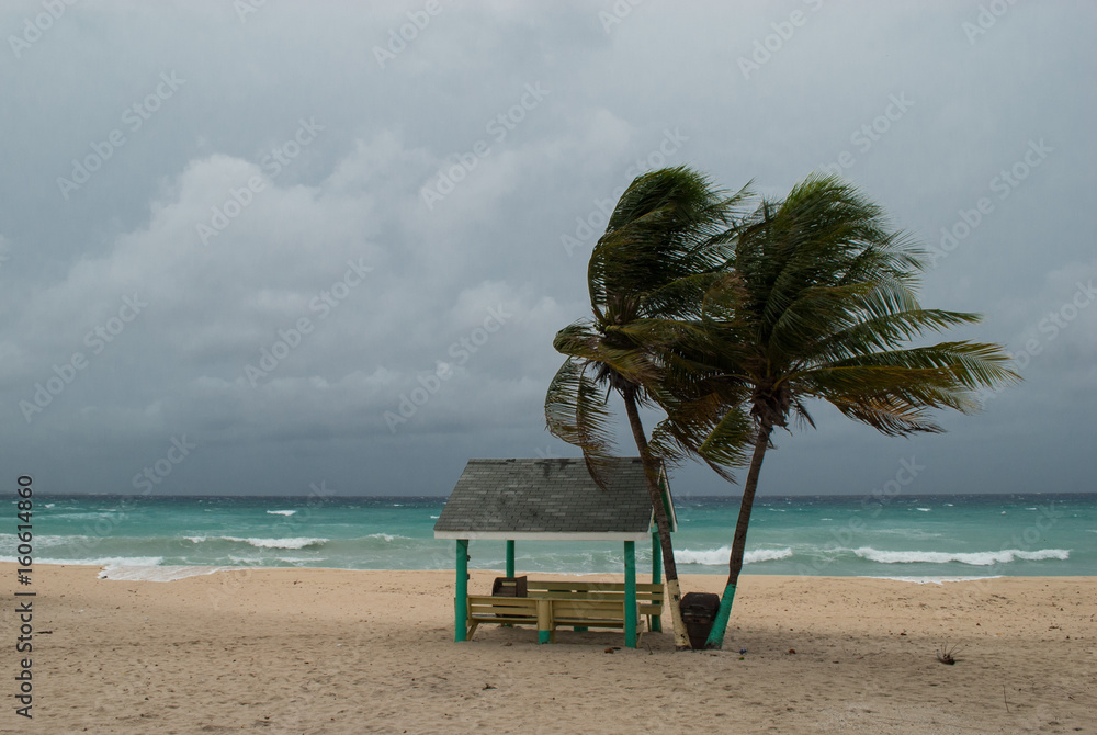 A hurricane is about to batter this caribbean beach hut. The seas are ...