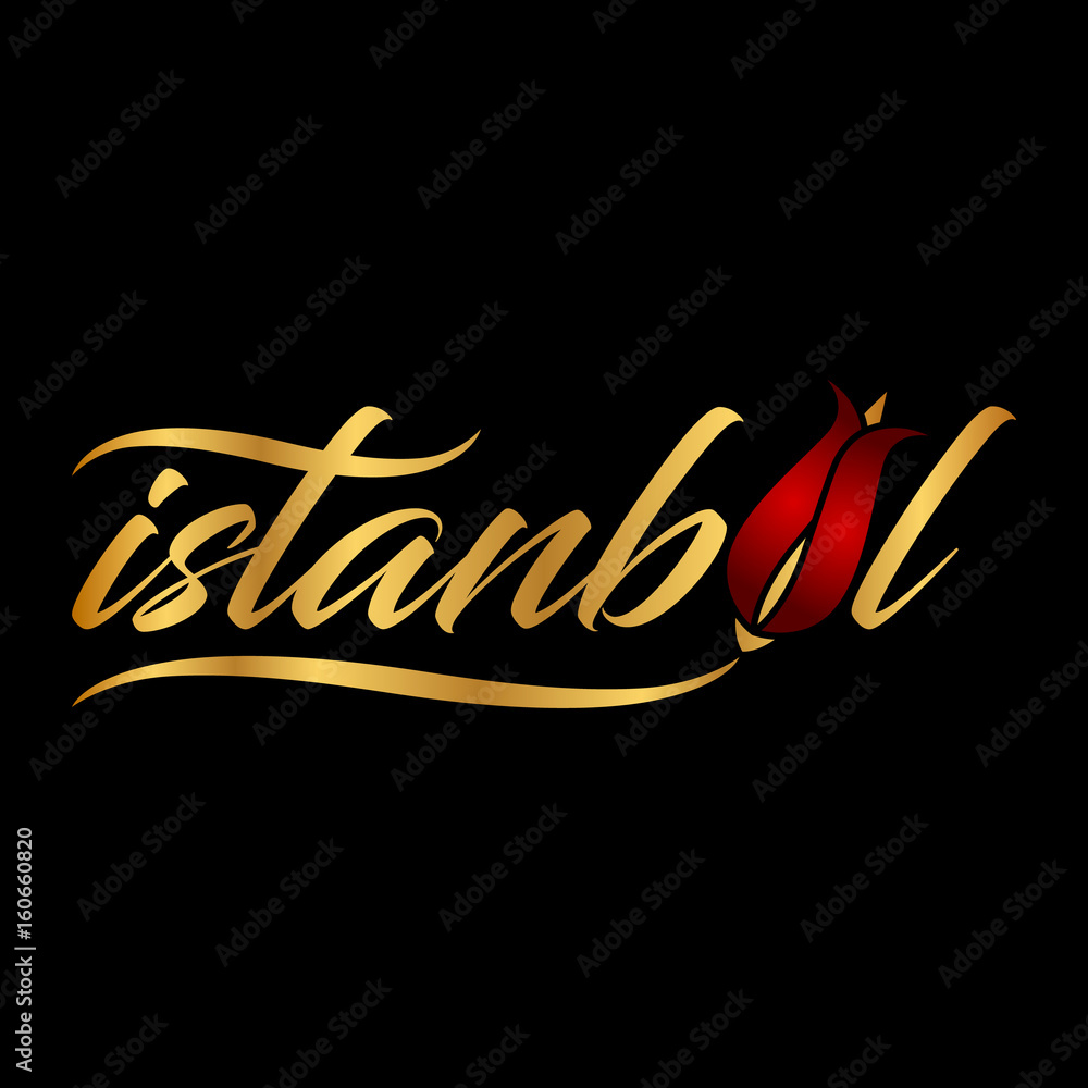 istanbul logo, icon and symbol vector illustration Stock Vector | Adobe ...