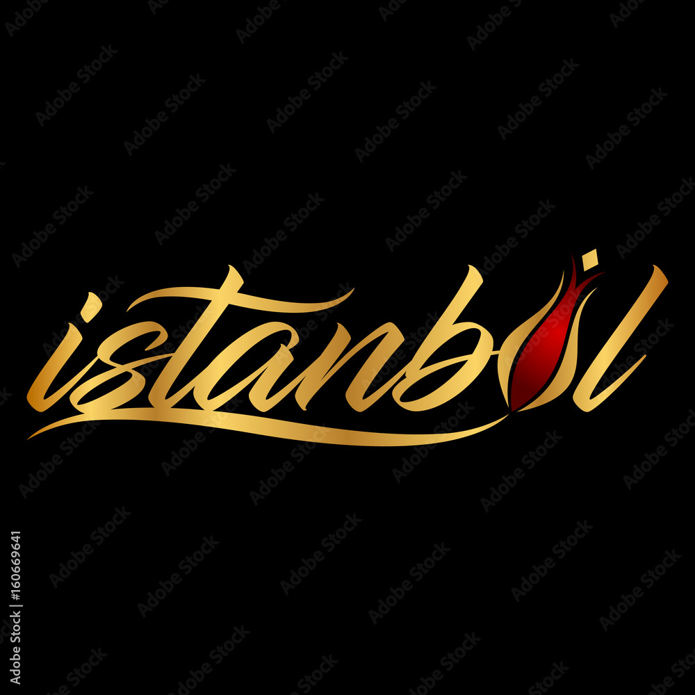 istanbul logo, icon and symbol vector illustration Stock Vector | Adobe ...