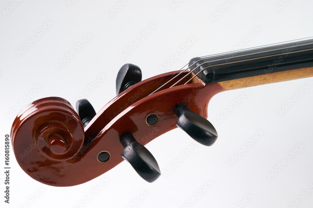 Close-up details of Violin head isolated on white background with copy ...