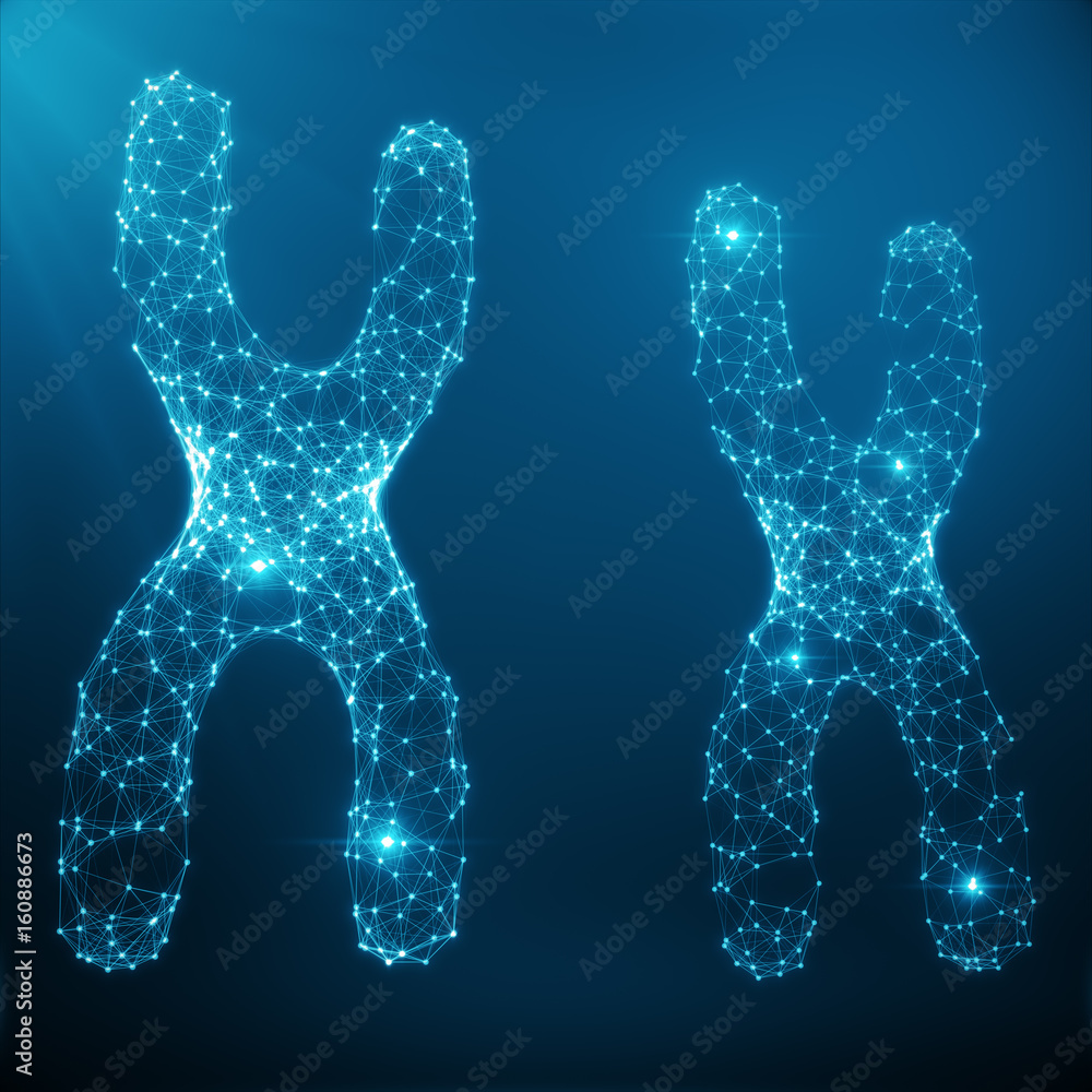 XX-Chromosome Concept for Human Biology Medical Symbol Gene Therapy or ...