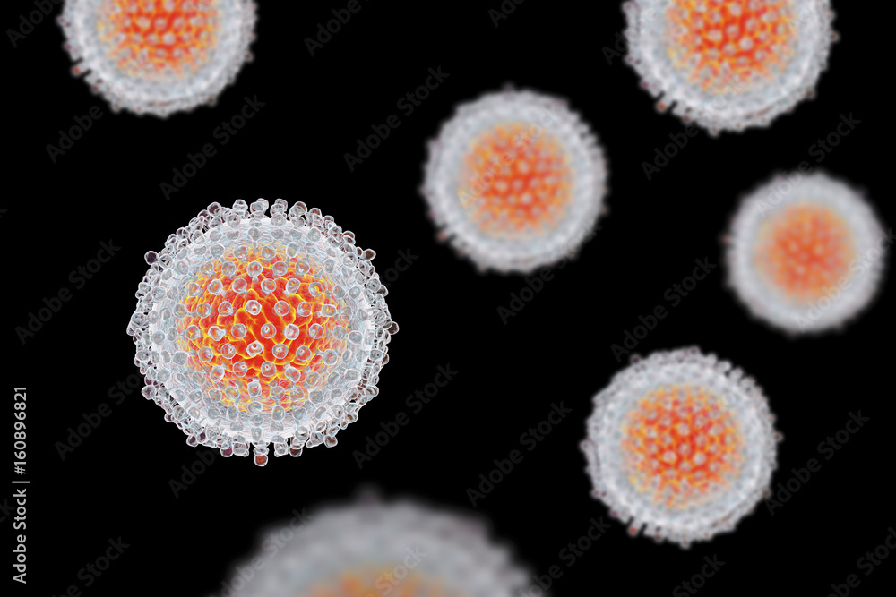 Hepatitis C virus model, 3D illustration. A virus consists of a protein ...