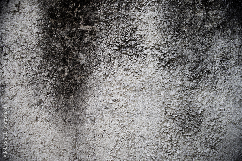 Textura de la pared de una casa antigua Stock Photo | Adobe Stock