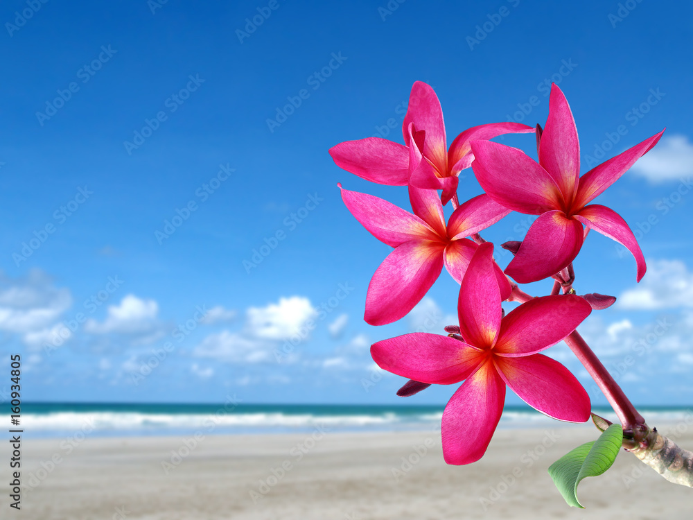 Tropical Flowers On Beach