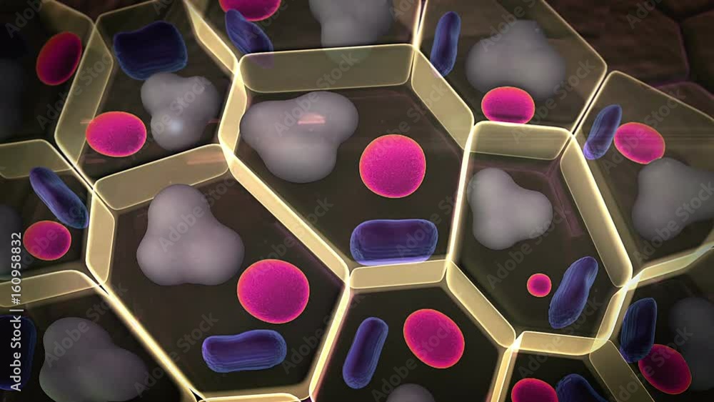 group of living cells under microscope, High quality 3d render of cells ...