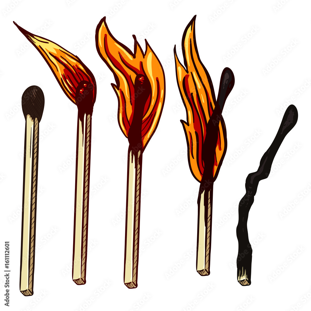 VectorSet of Cartoon Burning Matches. Different Stages of Combustion ...