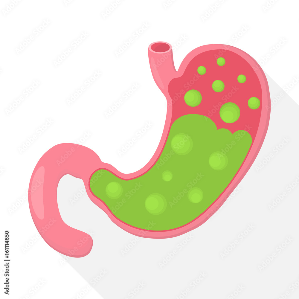 Stomach Acid Cartoon
