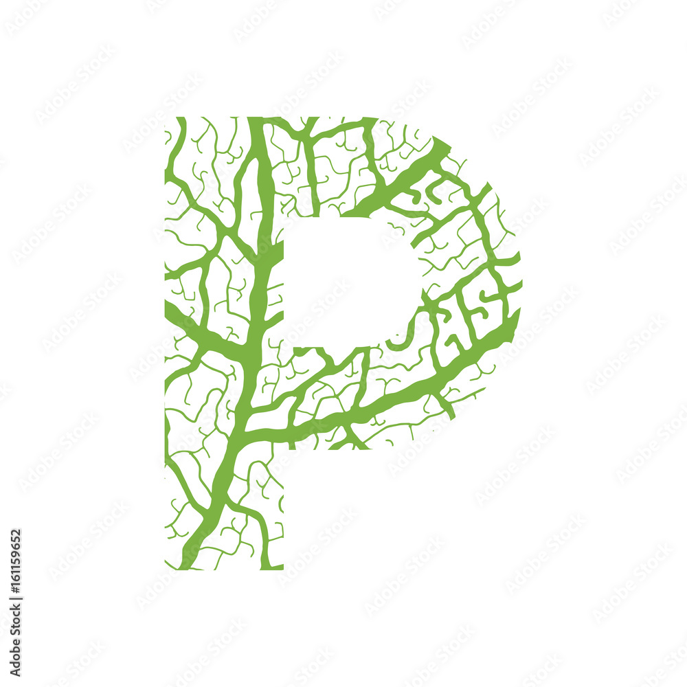 The Letter P In Nature