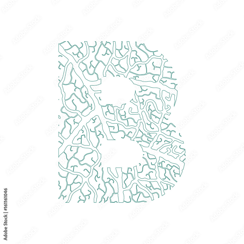 The Letter B In Nature