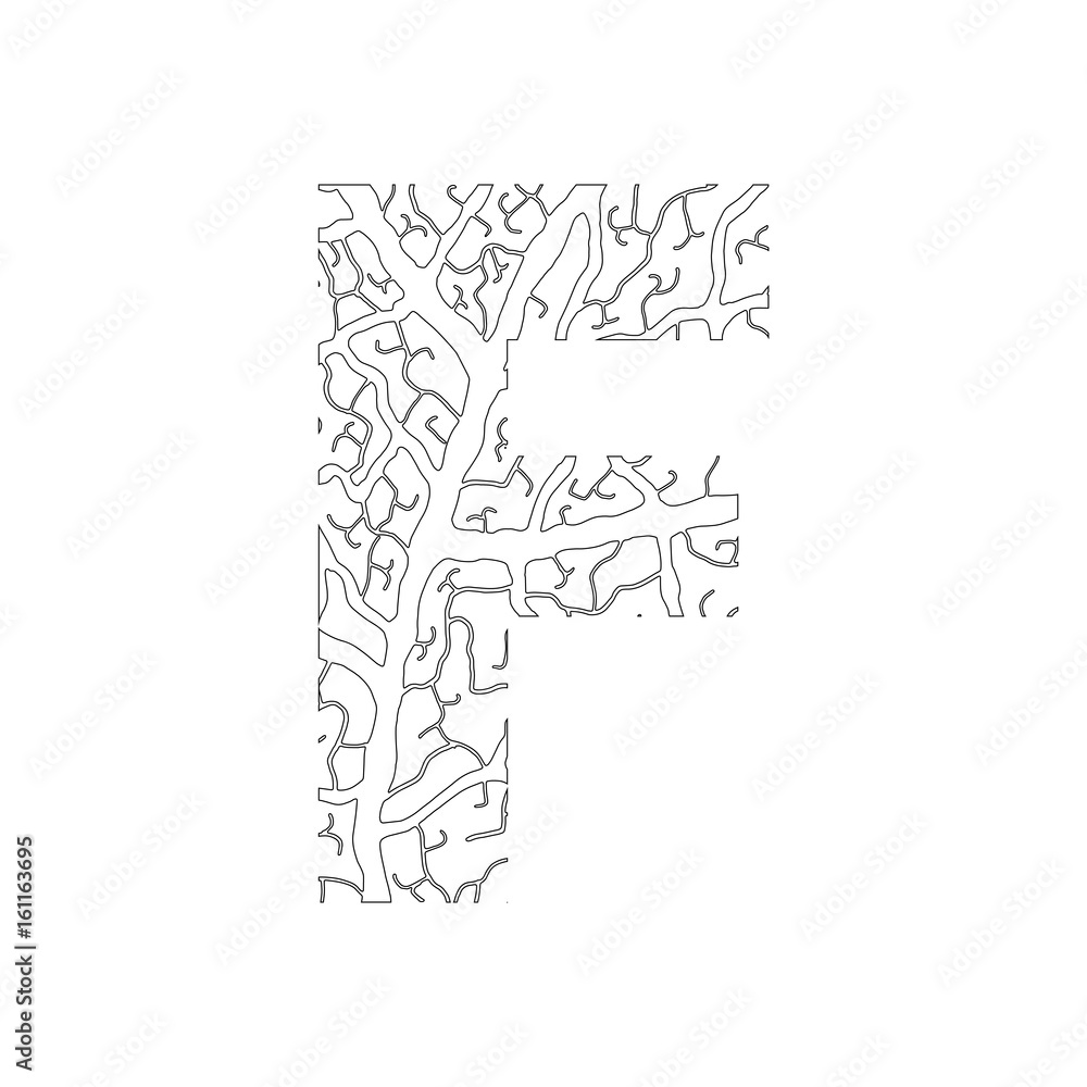 The Letter F In Nature