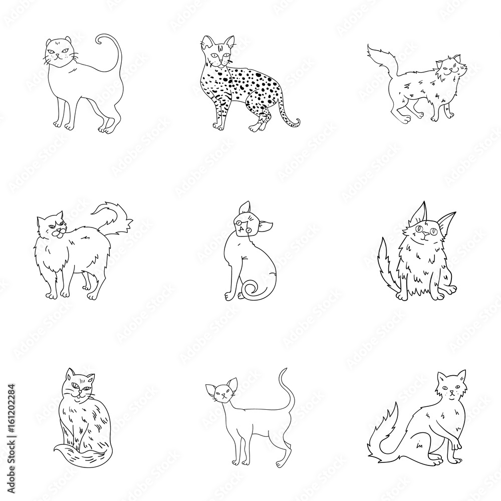 Vetor de Collection of cats in one picture. Different cats in one ...