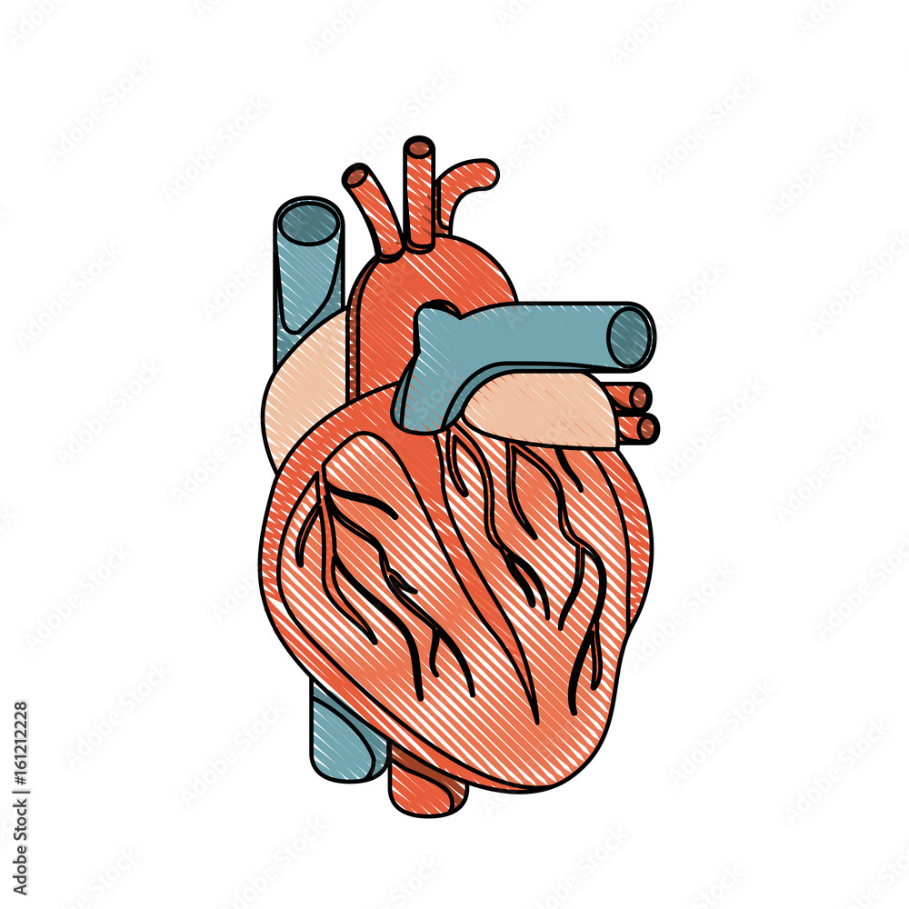 Real Heart Symbol Silhouette