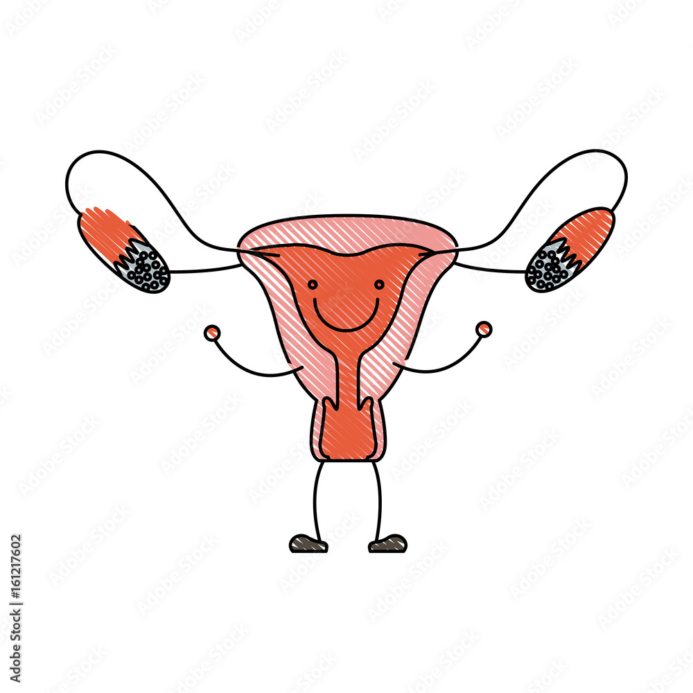 Color Crayon Silhouette Caricature With Happy Face Female Reproductive