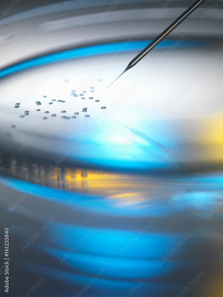Micro pipette injecting cells in dish Stock Photo | Adobe Stock