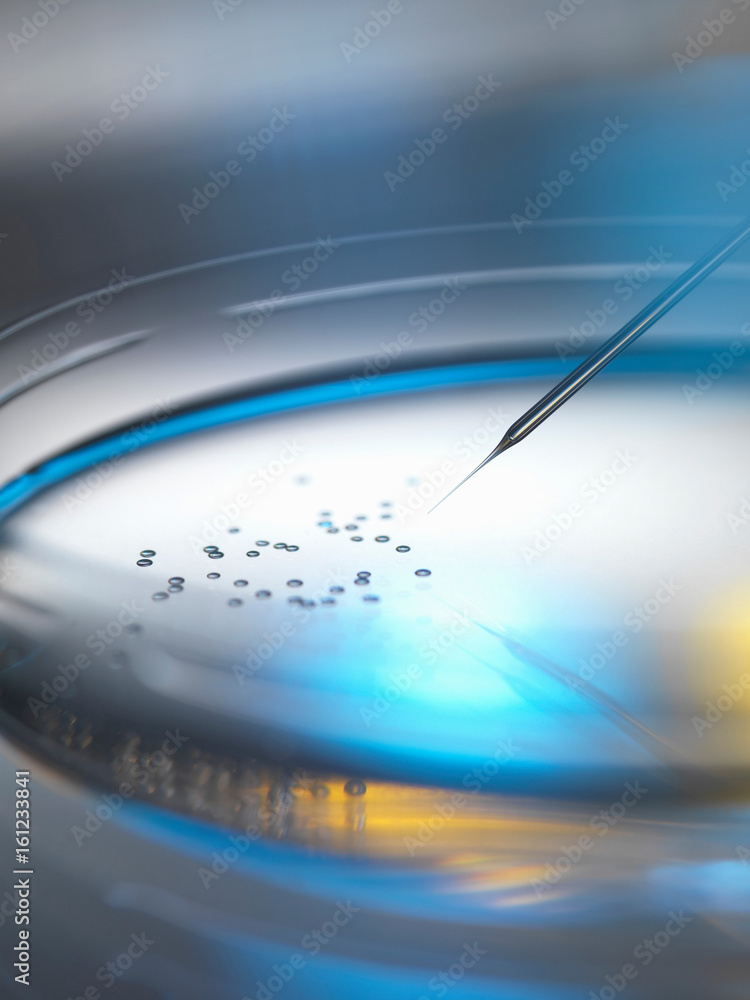 Micro pipette injecting cells in dish Stock Photo | Adobe Stock
