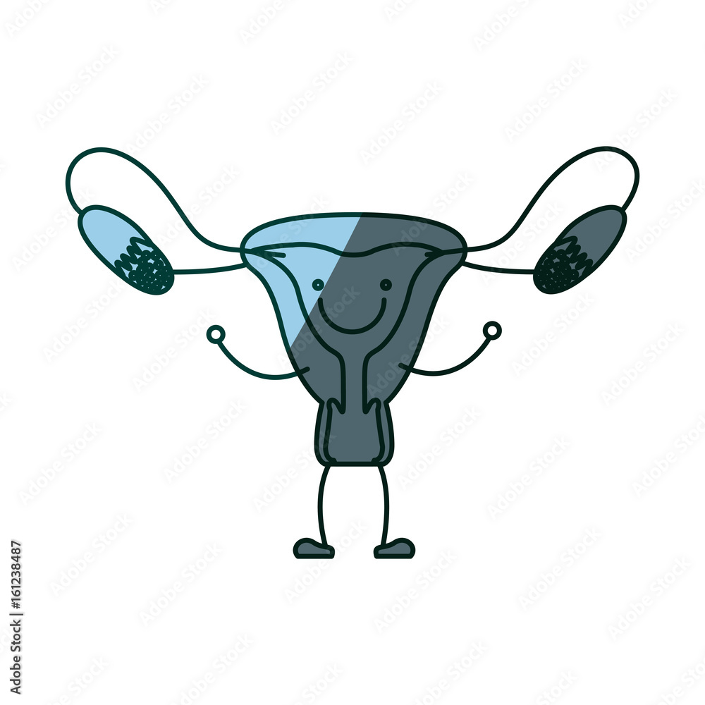 blue color shading hand drawing contour caricature female reproductive ...