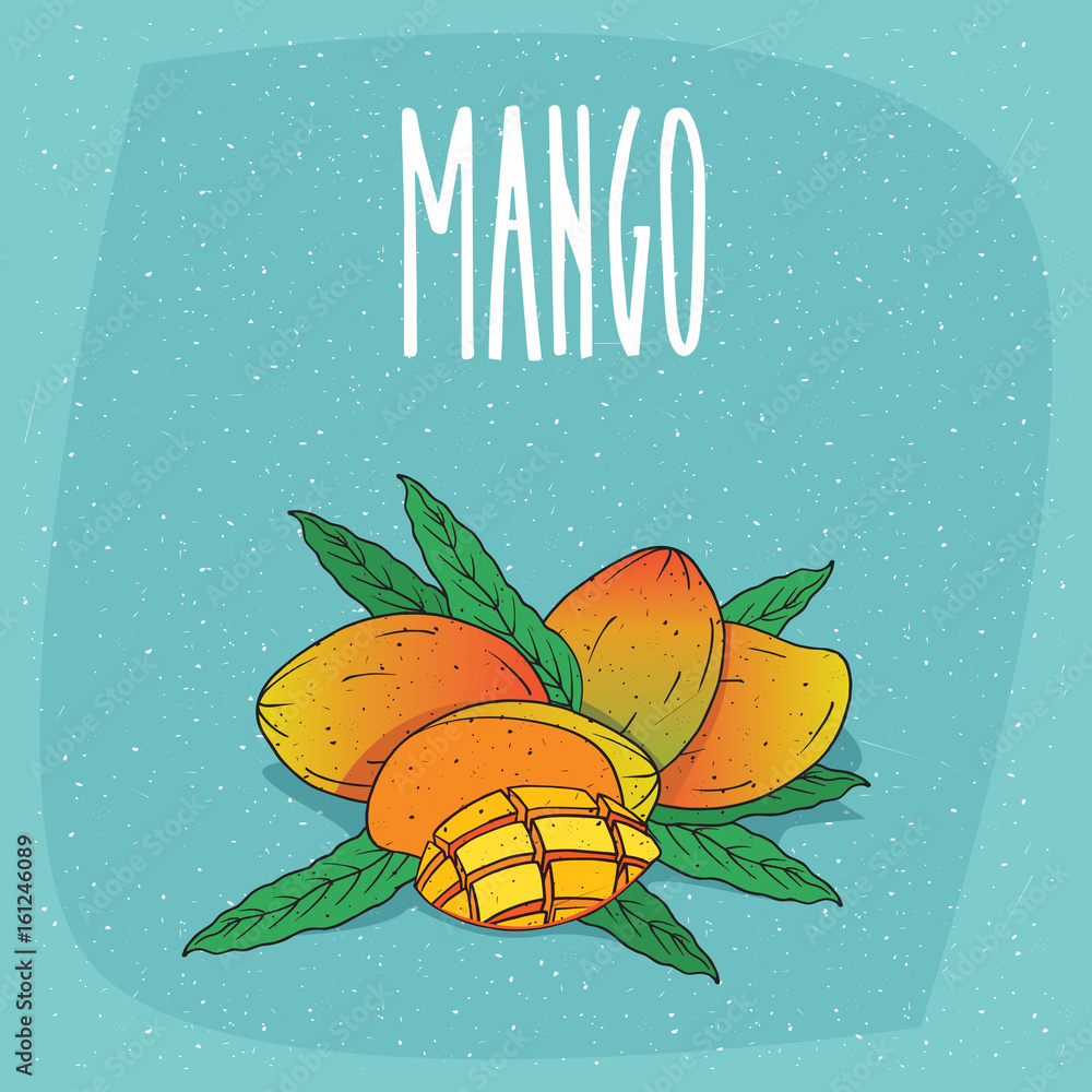 Group of several ripe mangoes fruits with leaves, whole and beautifully ...