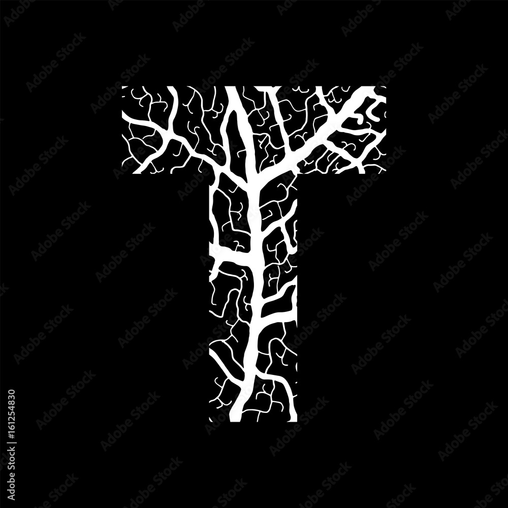 Letter T Found In Nature