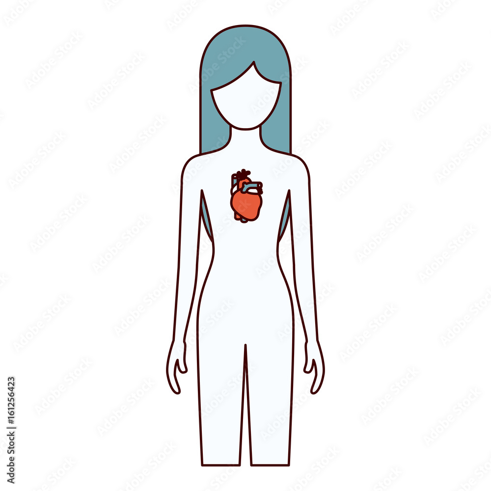 Human Body Vector Silhouette