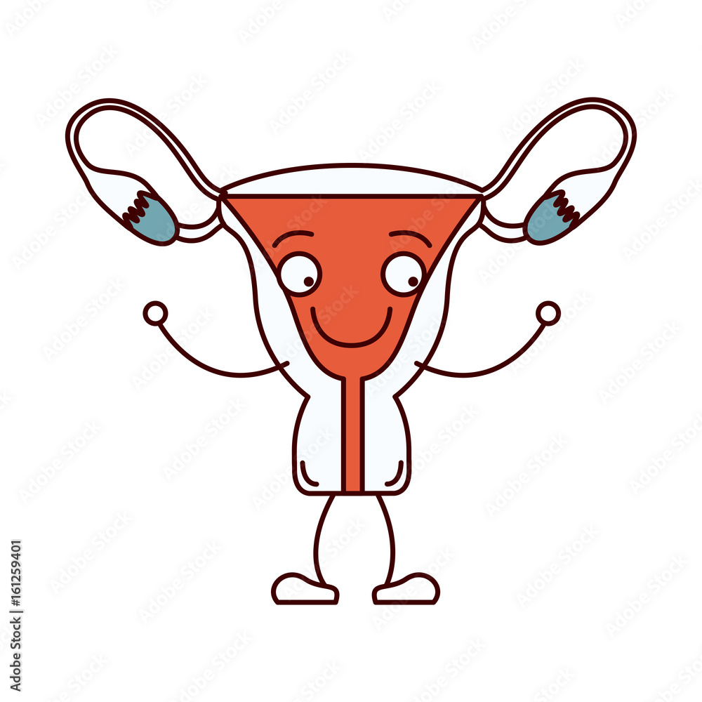 Color Sections Silhouette Caricature Female Reproductive System Vector