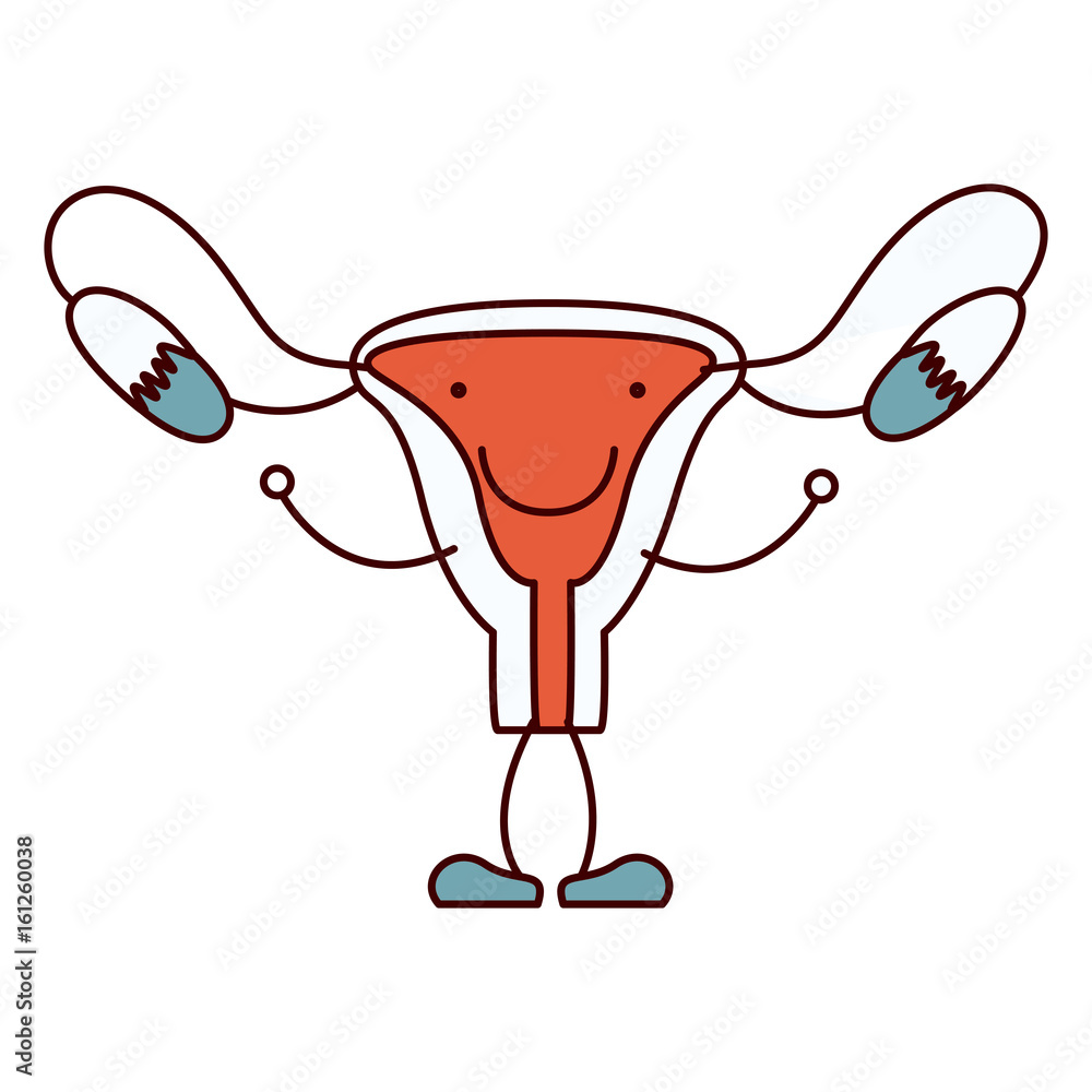 Color Sections Hand Drawing Contour Caricature Female Reproductive