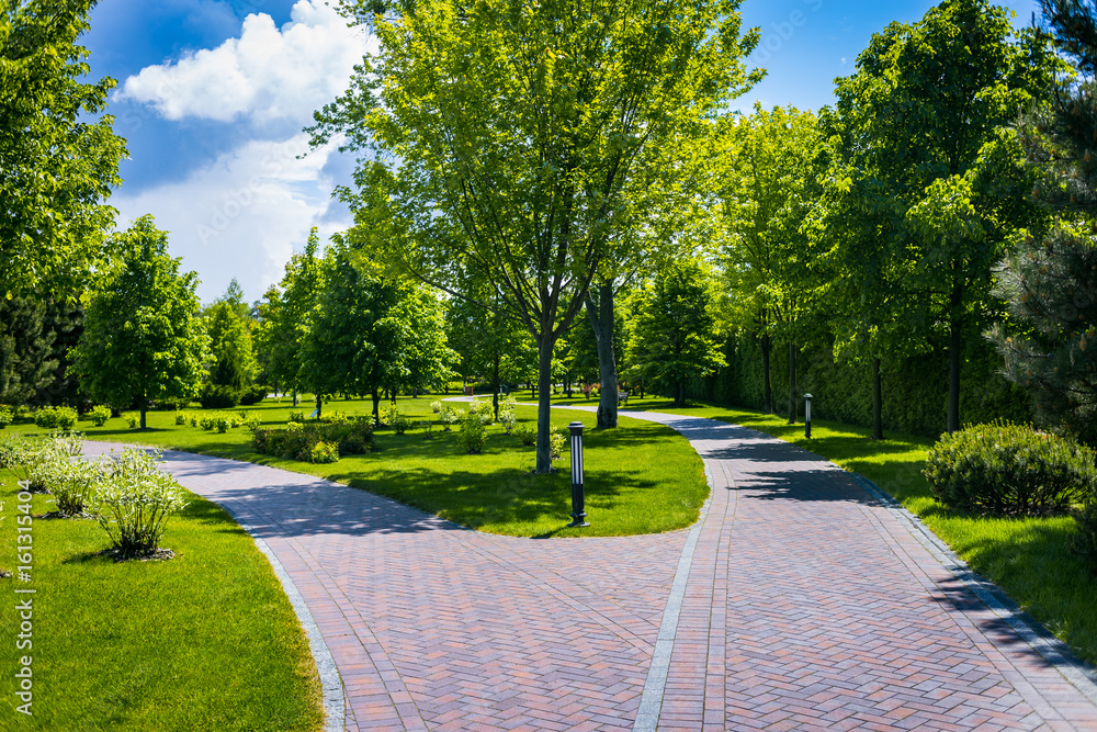 Landscaping in the garden. The path in the garden.Beautiful backyard ...