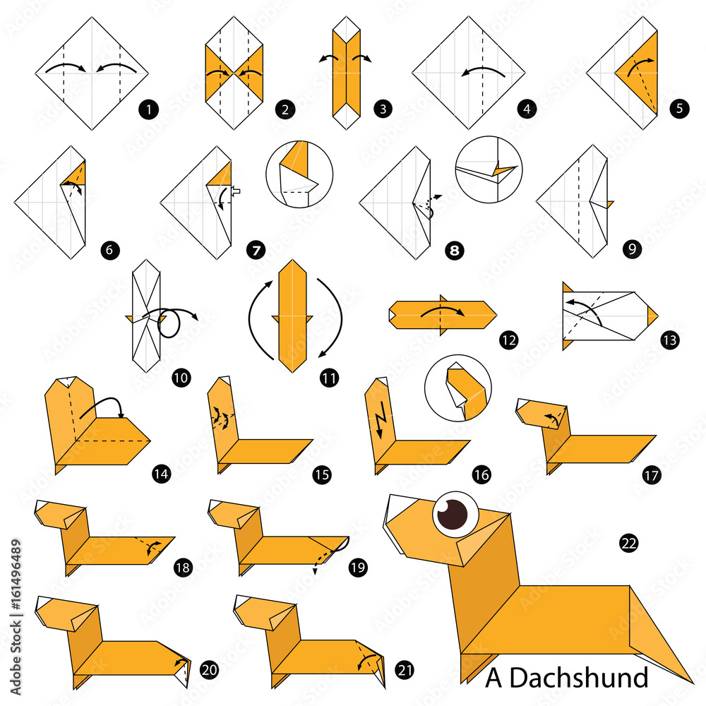 Step by step instructions how to make origami A Dachshund. Stock Vector ...