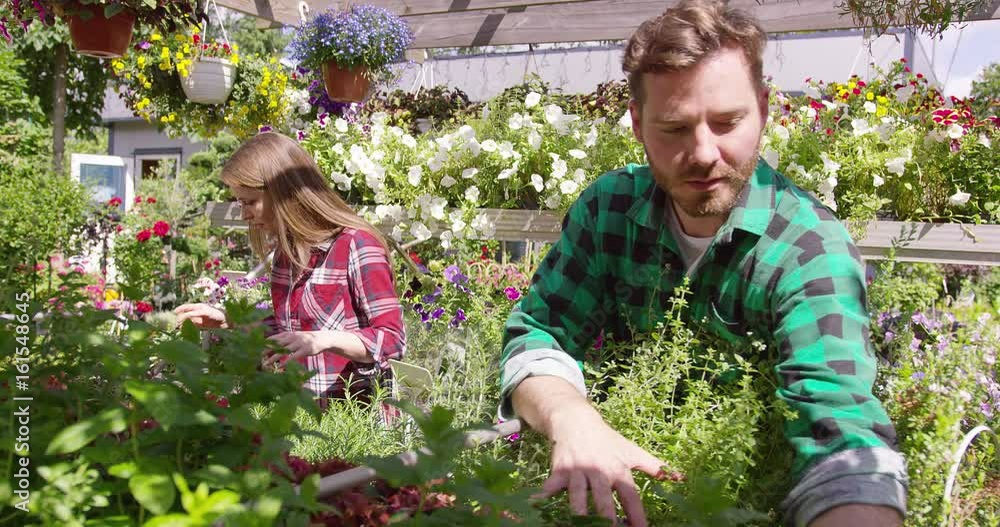 Professional male and female horticulture workers taking care and ...