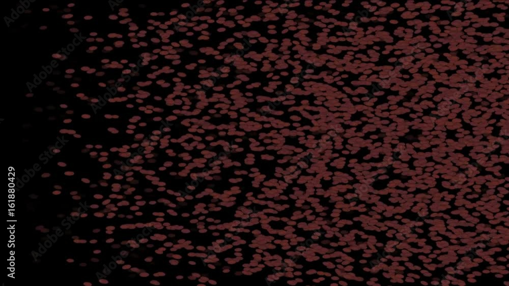 4k Red blood cells&floating algae bacteria microbes spores biological ...