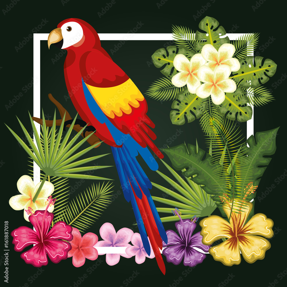 Guacamaya with tropical leaves and flowers over dark green background ...