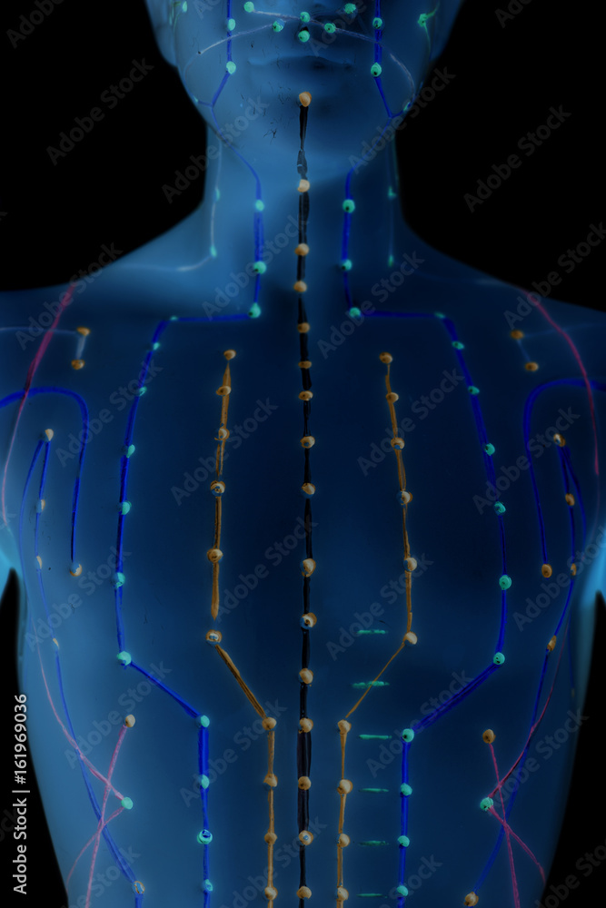 Medical acupuncture model of human on black background Stock Photo ...