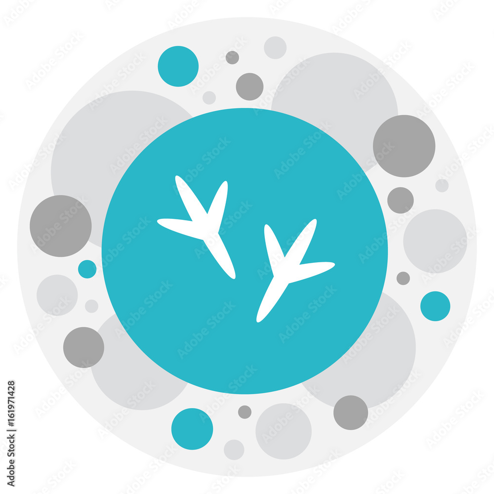 Vector Illustration Of Zoo Symbol On Chicken Feet Icon. Premium Quality ...