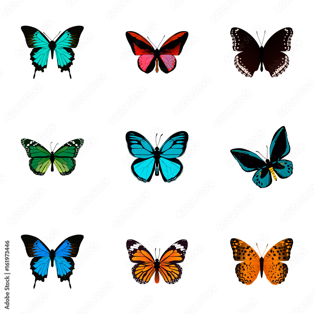 Realistic Callicore Cynosura, Common Blue, Danaus Plexippus And Other ...