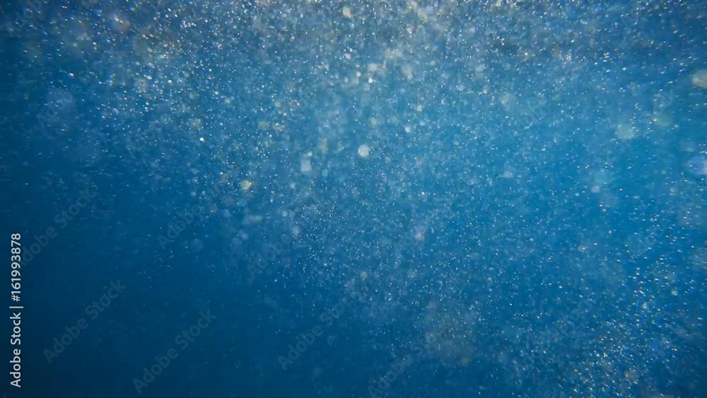 Beautiful underwater sea scene view with natural light rays, shining ...