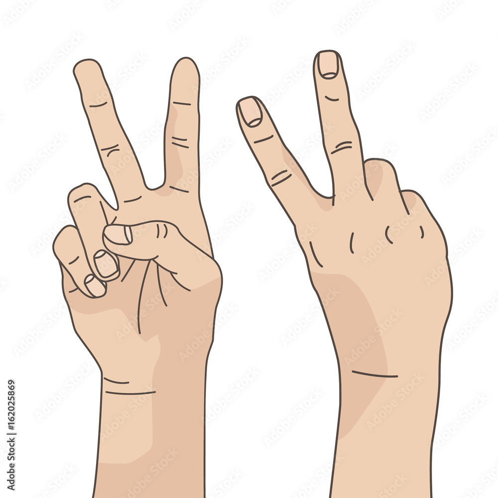 Two hands showing two fingers. Hand from the front and back. Victory ...