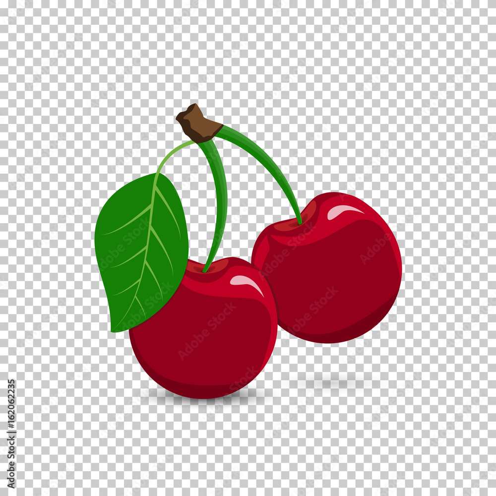 Red cherry on a transparent background Stock Vector | Adobe Stock