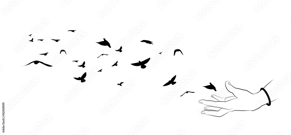 Flying birds and hand silhouettes on white background. Vector ...