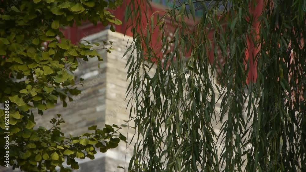 Ancient city Great Wall texture.roof of Forbidden City palace ...