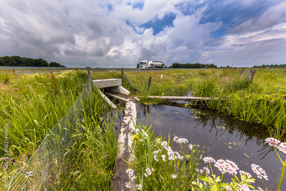 Wet Wildlife crossing culvert underpass with gangplank Stock Photo ...