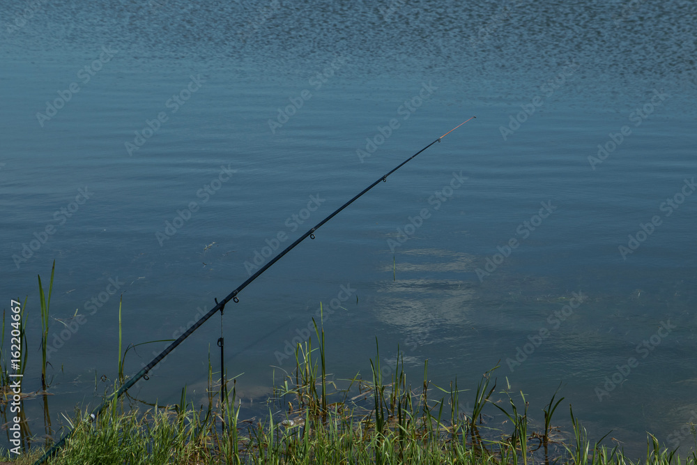 Rods on a rod pod with the swingers attached ready to catch some fish ...