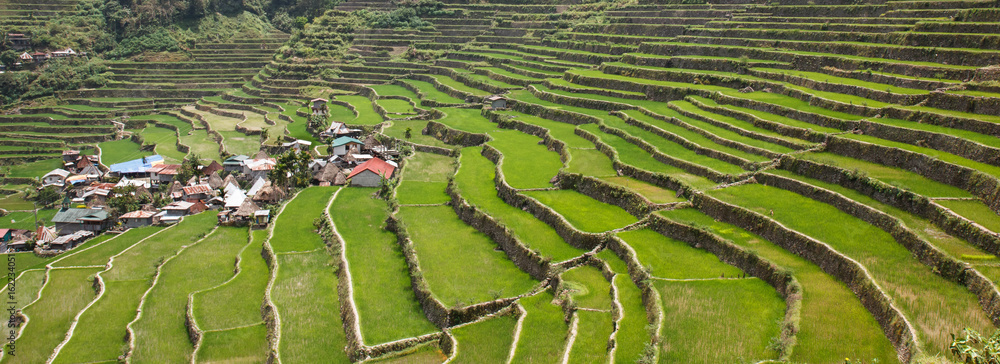 Batad rice field terraces in Ifugao province, Banaue, Philippines Stock ...